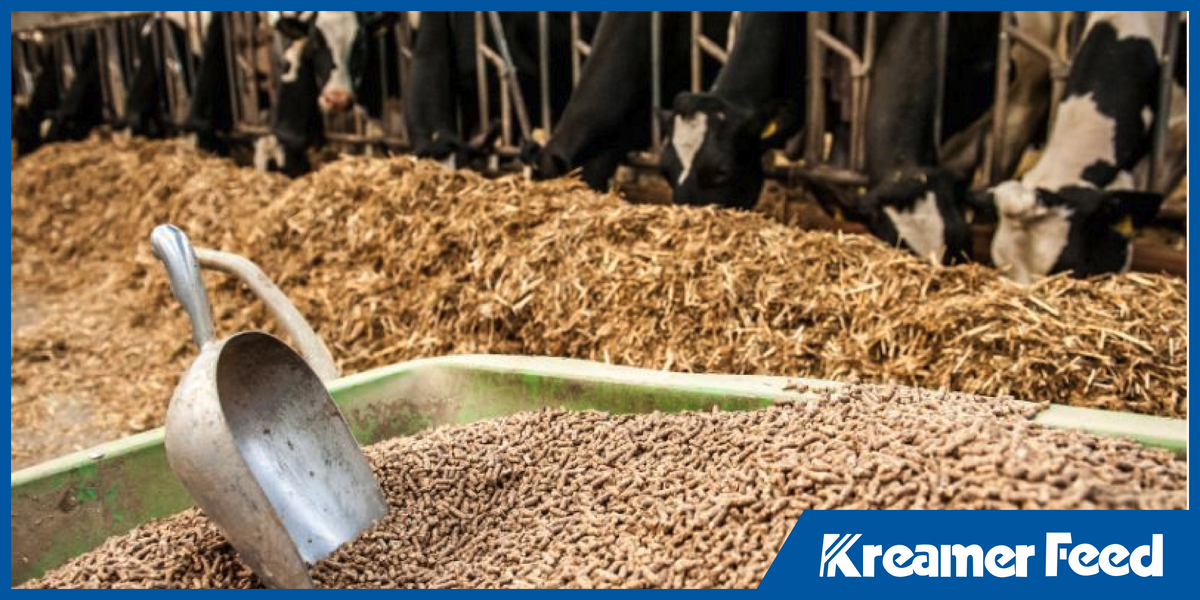 Can You Mix Feeds? Dos and Don’ts for Healthy Livestock – Kreamer Feed