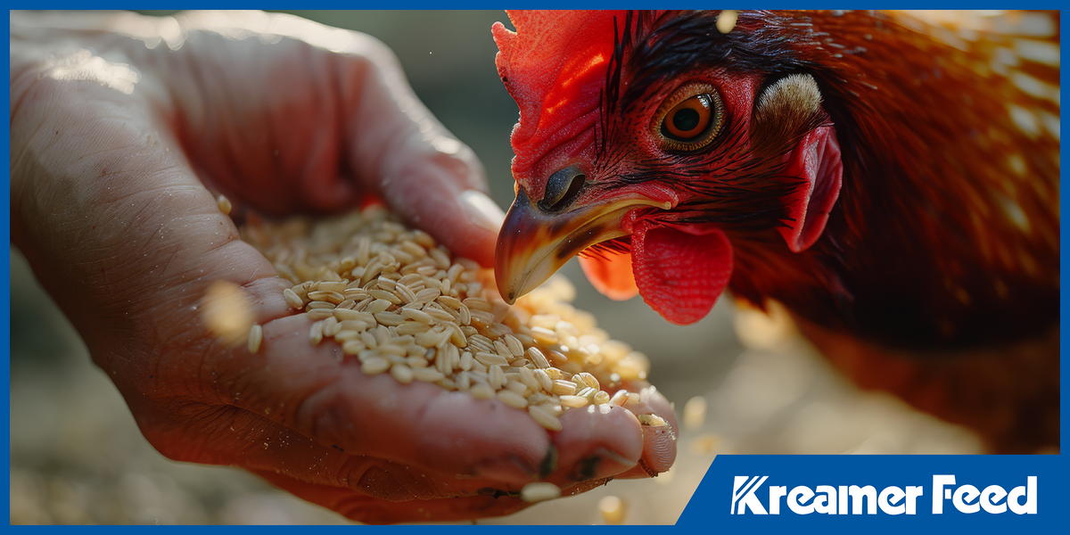 From Hatch to Harvest: Feeding Strategies for Every Stage of Life ...