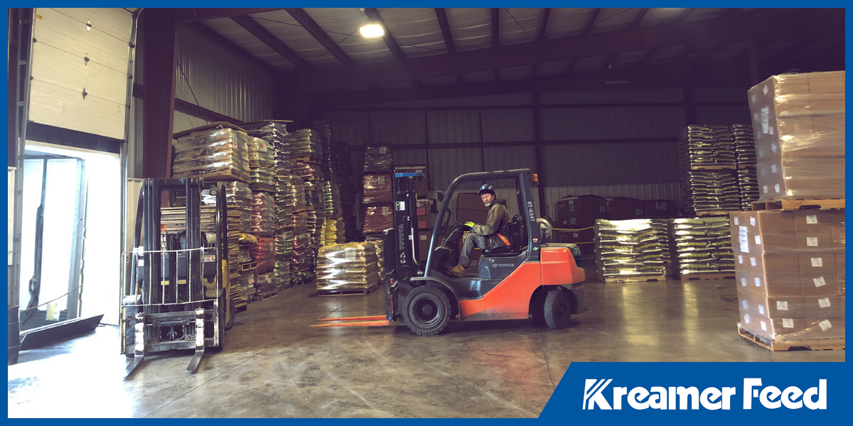 Feed Storage Myths Busted: What’s Really Keeping Your Poultry and Live ...