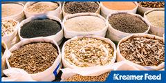 Kreamer Feed