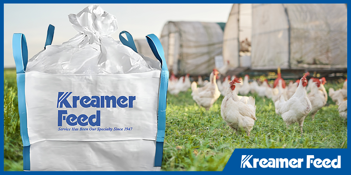 Managing Feed Inventory Year-Round – Kreamer Feed