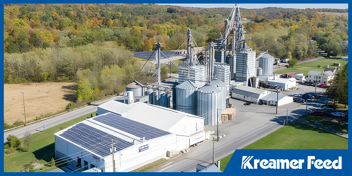 Inside a Family-Owned Feed Mill: Generations of Care – Kreamer Feed
