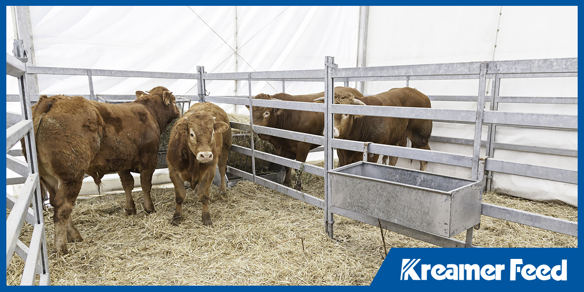 How Feed Impacts Manure Quality – Kreamer Feed