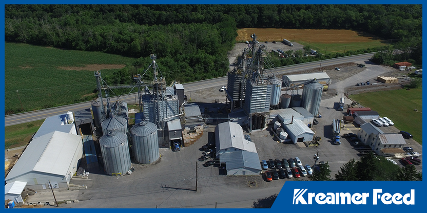 Feed Mill Innovations: How Tech Improves Quality – Kreamer Feed