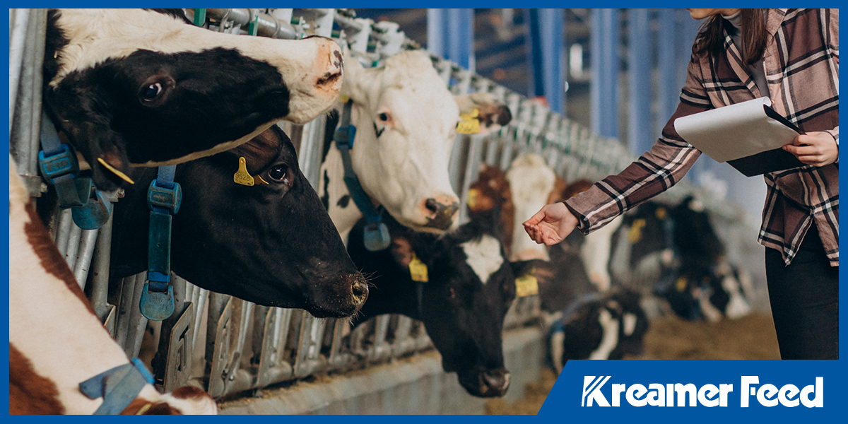 Experience-Driven Livestock Nutrition for Better Feed – Kreamer Feed