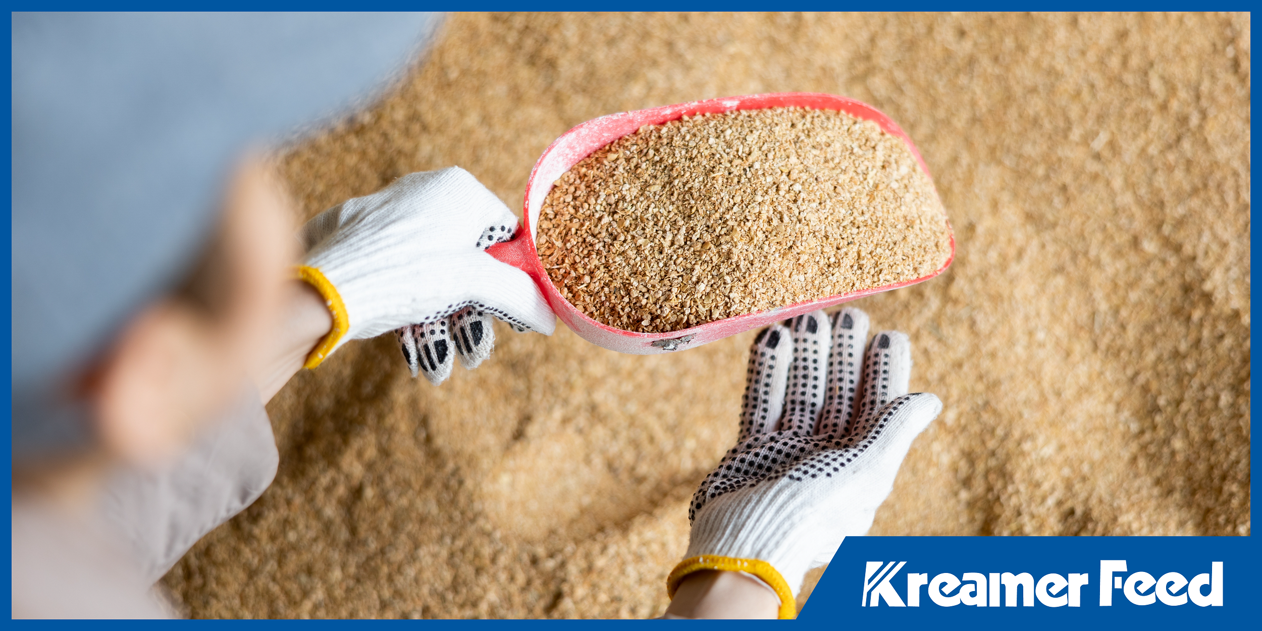 Maximizing Feed Value: Tips to Reduce Waste on the Farm – Kreamer Feed