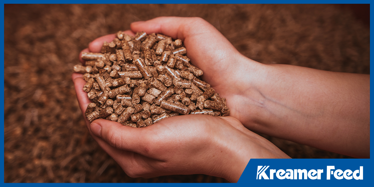 Wholesale Animal Feed 101: A Buyer’s Guide – Kreamer Feed